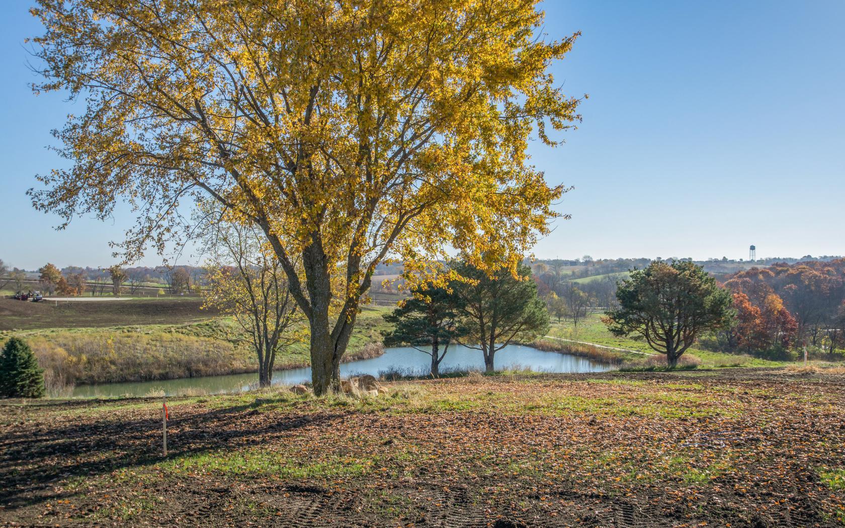 Photo Gallery | VanDam Construction